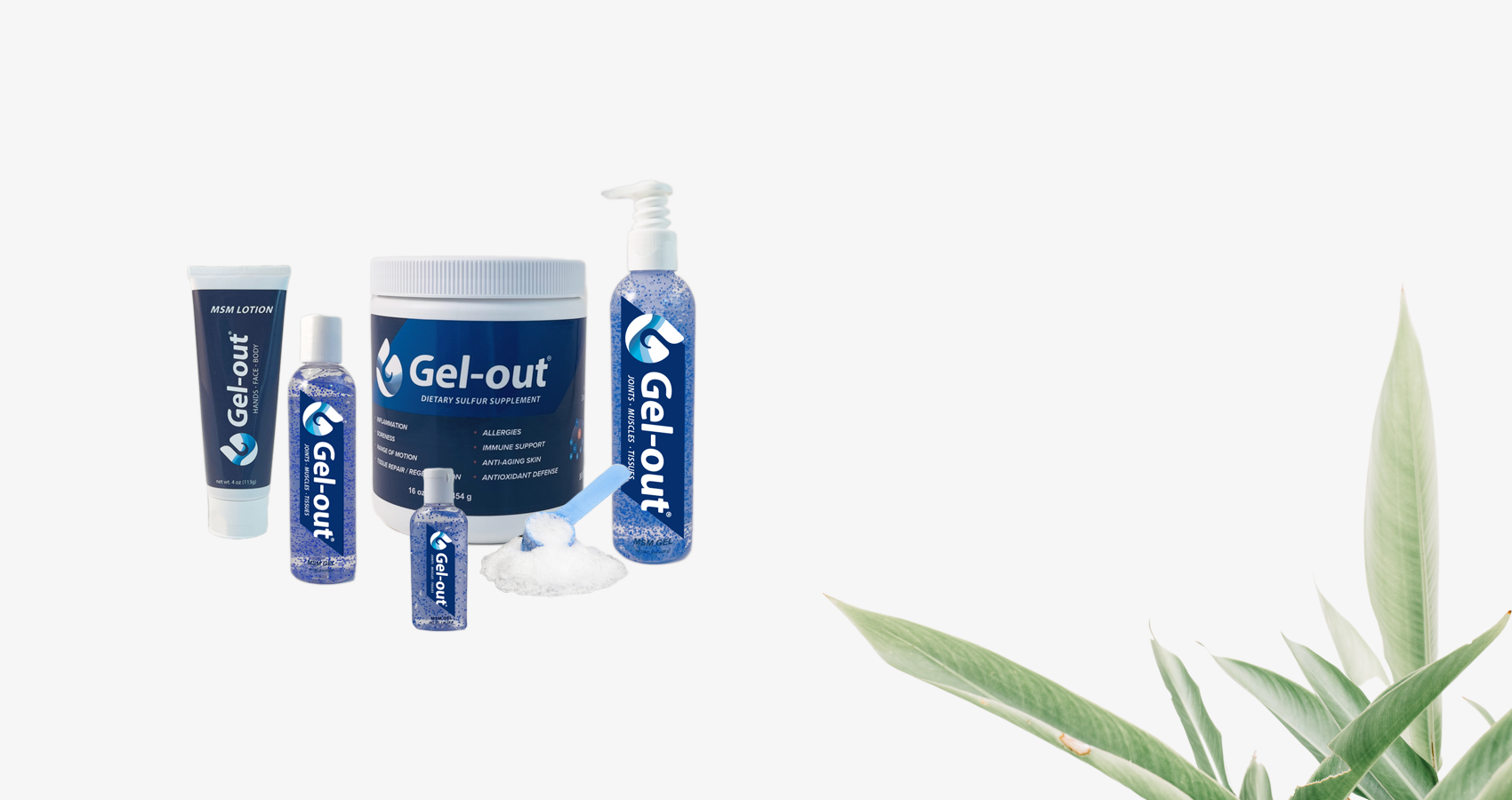 Gel-Out, MSM Gel, Lotion, & Dietary Supplements – Gel-out